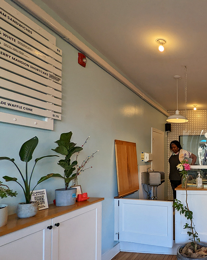 The menu wall doubles as modern art. Those plants aren't just decoration&mdash;they're silent witnesses to countless "mmm" moments and ice cream epiphanies. 