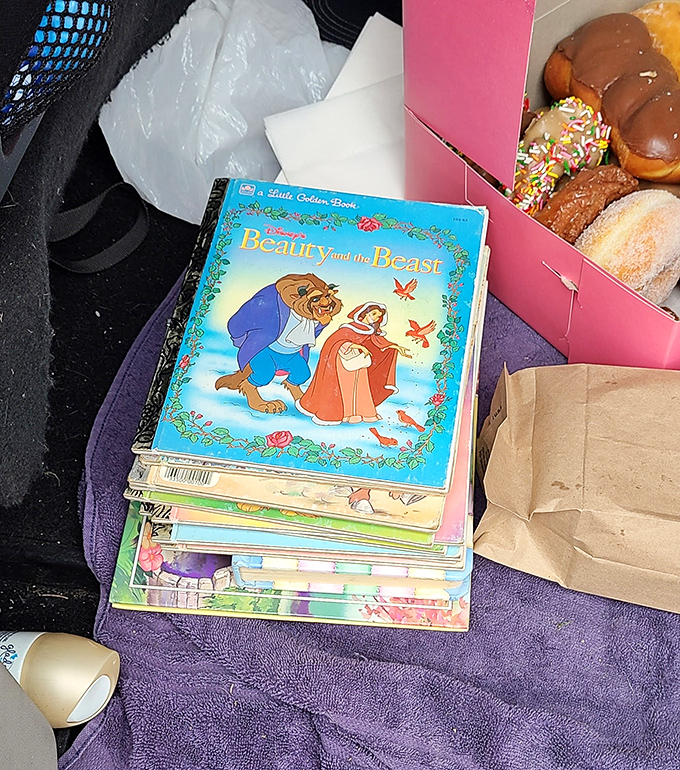 Little Golden Books nestled beside donuts - a perfect metaphor for the sweet nostalgia you'll find in every corner here.
