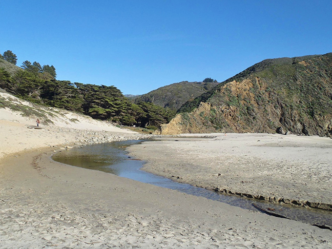 Where forest meets shore: a gentle stream carves its patient path to the sea, creating tranquil pools perfect for contemplative moments.