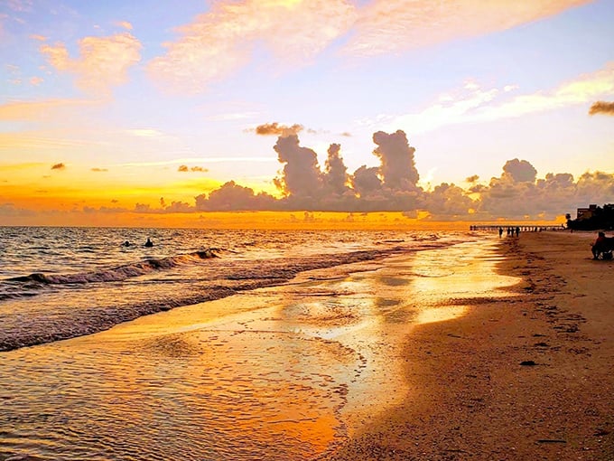 Nature's nightly light show doesn't require tickets or reservations. Redington Beach sunsets paint the Gulf waters with colors no artist could fully capture.