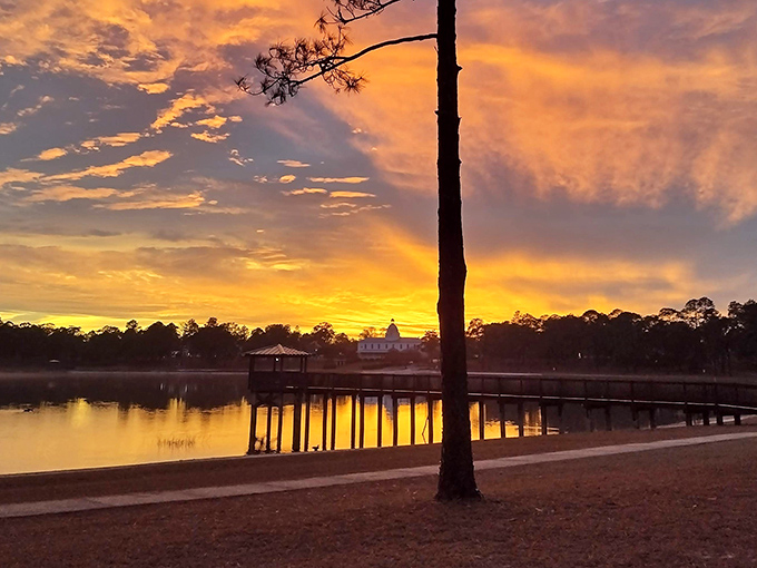 Golden hour transforms this tranquil lake into nature's own masterpiece, complete with perfect silhouettes and reflections.