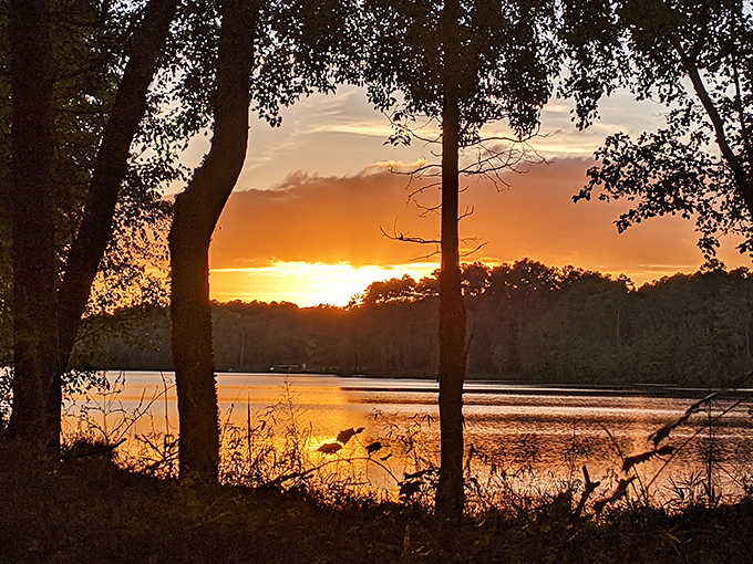 A Cheraw sunset that makes even smartphone cameras look professional. Nature's grand finale to another perfect day.