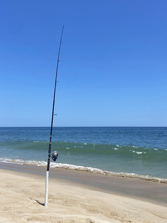 The ultimate exercise in optimism: a fishing rod standing at attention, waiting for underwater residents to accept the invitation.