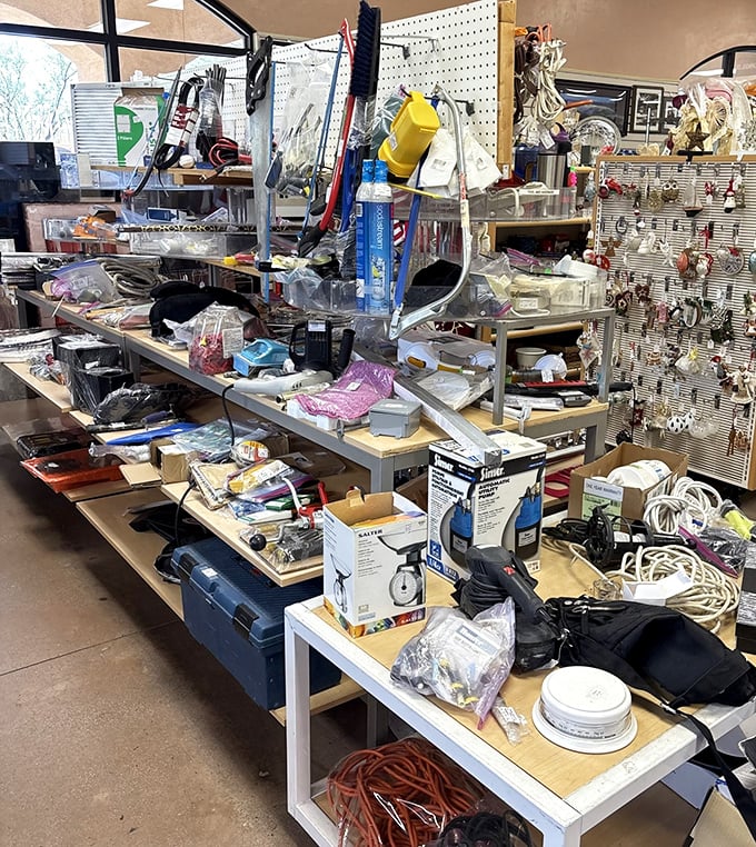 The hardware section: organized chaos where DIY dreams are born. That cordless drill might finally help you hang the art you bought... three aisles over.