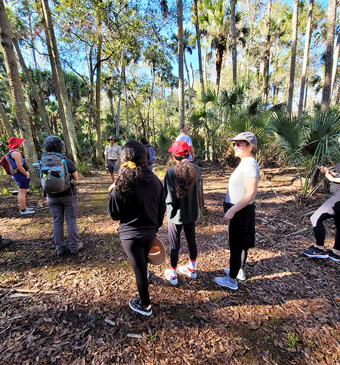 Ranger-led tours offer insights that Google can't provide, turning a simple walk into an educational adventure through Florida's wild side.