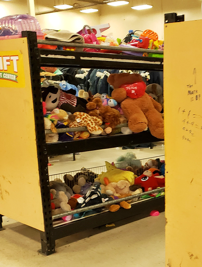 Stuffed animal sanctuary! These plush companions, once loved and now seeking new homes, create a colorful menagerie of childhood nostalgia.