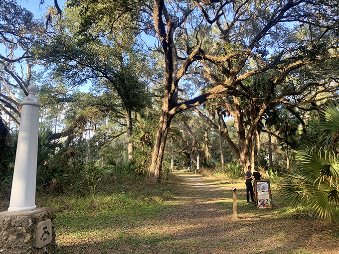 Sunlight filters through Spanish moss along this inviting trail. Each step takes you deeper into Florida's natural and cultural heritage.