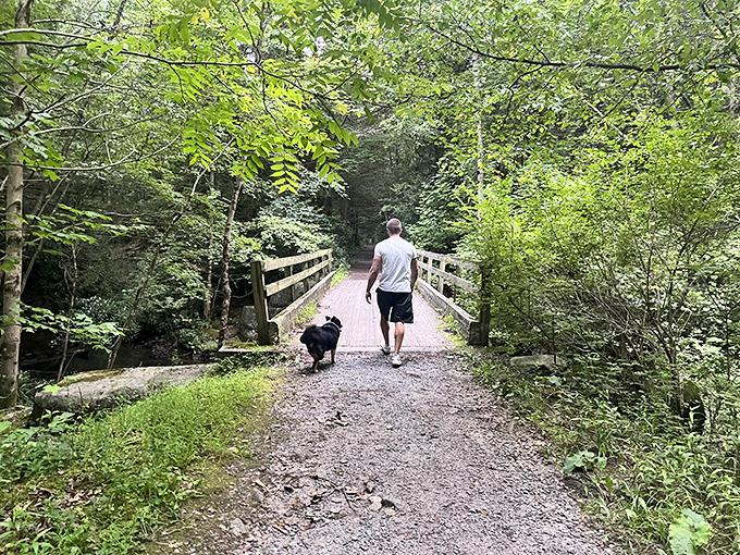 Man's best friend leads the way across this woodland bridge – every good adventure needs a four-legged tour guide.