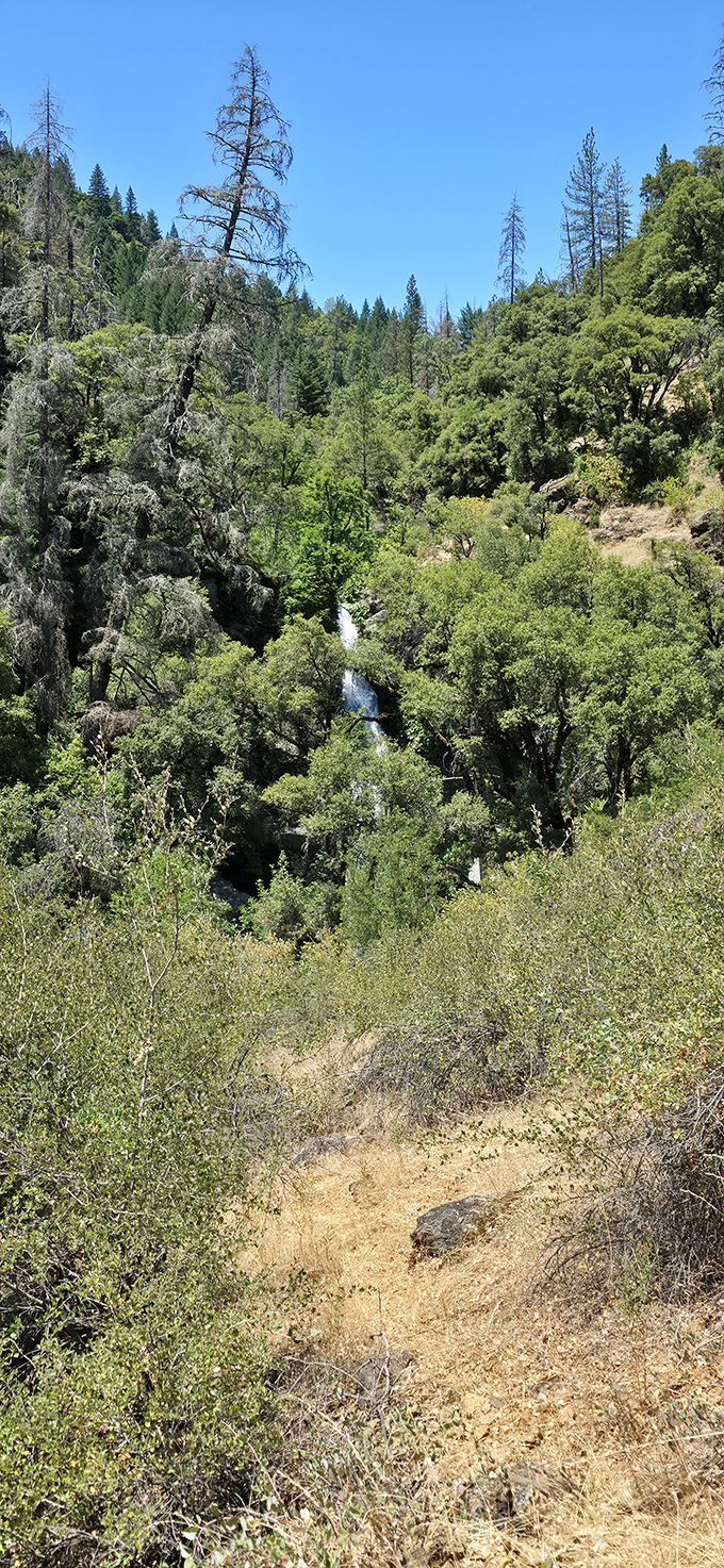 The stream continues its journey beyond the falls, creating little pockets of paradise perfect for toe-dipping contemplation.