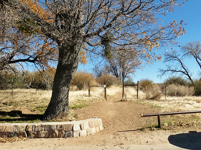 Where civilization politely steps aside. This humble trailhead is the doorway between your ordinary Tuesday and an extraordinary adventure.