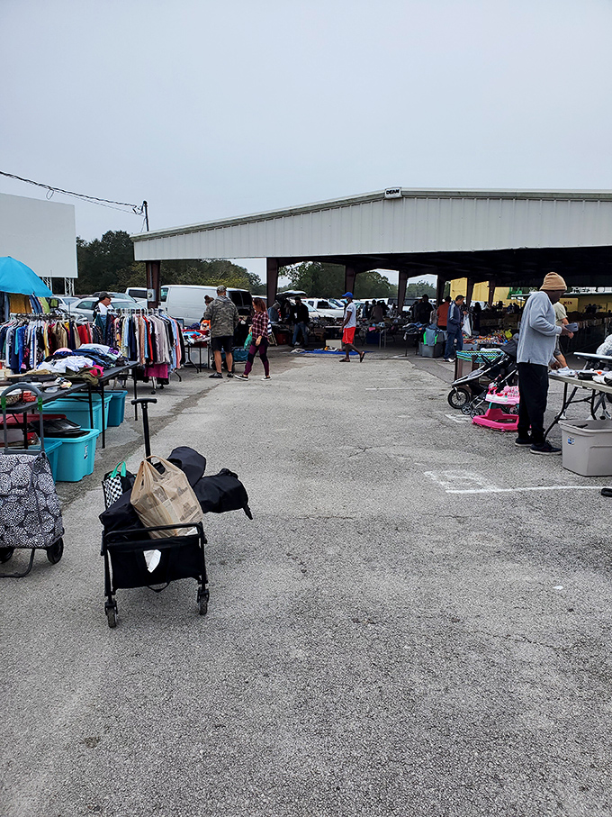 The market's pathways become impromptu neighborhoods, where shoppers push strollers past pop-up storefronts in a dance of commerce as old as civilization.