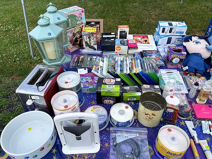 The ultimate "one person's junk" table – DVDs, kitchen gadgets, and mysterious electronics all hoping for second chances.