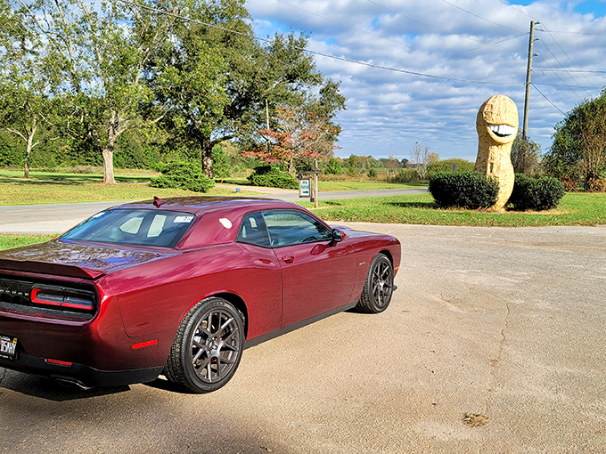 Against a perfect Georgia blue sky, the peanut's textured shell and megawatt smile create a surreal yet quintessentially American scene.