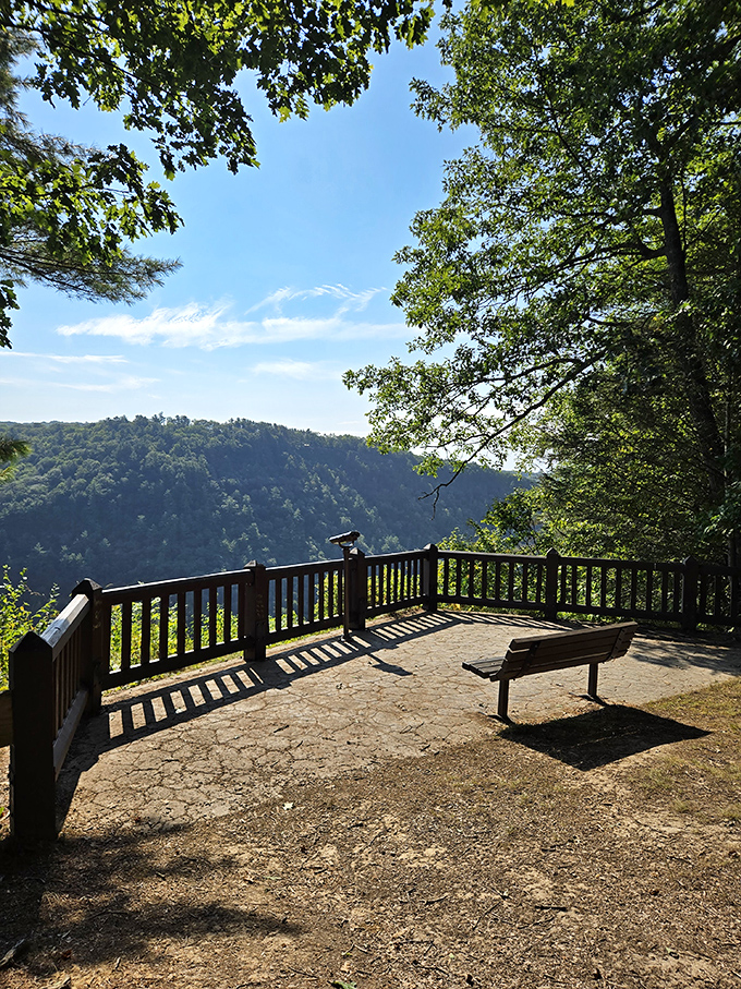 The perfect bench placement award goes to this spot, where sitting down might be the most productive thing you'll do all day.