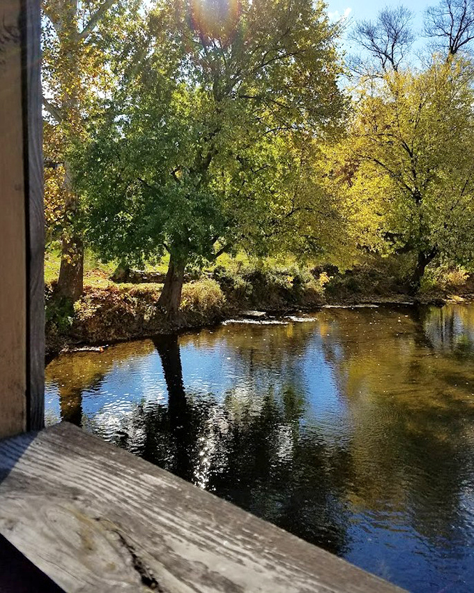 Golden hour light filters through the trees, turning the river into liquid amber beneath the bridge.