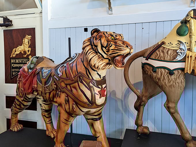 Not your average house cat! This ferocious tiger showcases the menagerie beyond horses that once gave carousel riders a walk on the wild side.