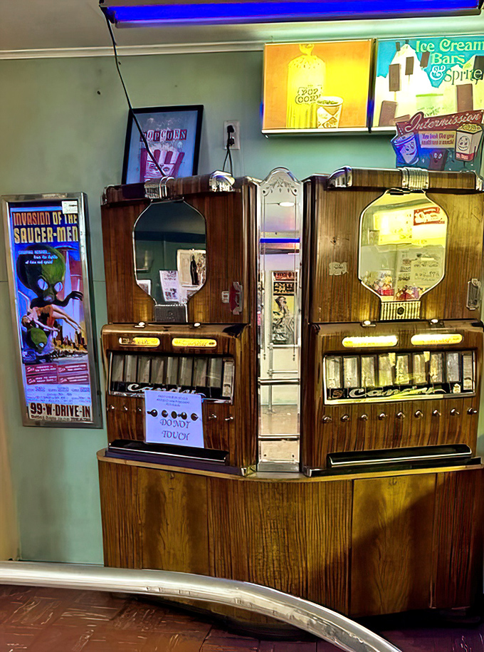 Vintage jukeboxes stand sentinel in the concession area, reminding us that entertainment was always meant to be a multi-sensory experience.
