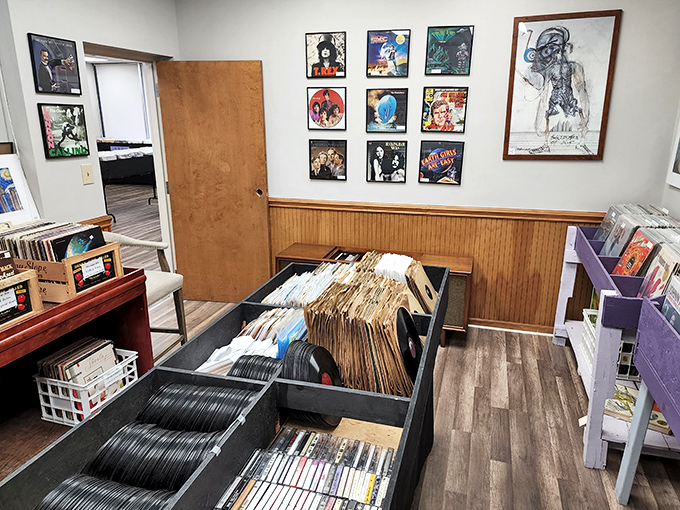 Vinyl records line the walls like a soundtrack to America's musical soul, waiting for rediscovery.