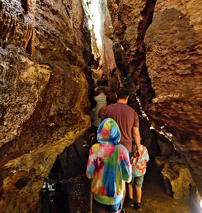 Families venture through narrow passages, children wide-eyed with wonder at a world so different from their digital everyday experiences.