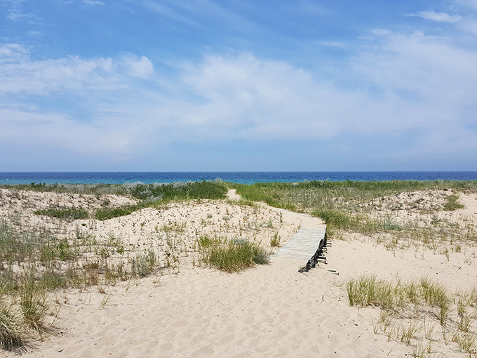 The path through dunes whispers promises of blue horizons and bare feet in cool water just beyond the next sandy rise.