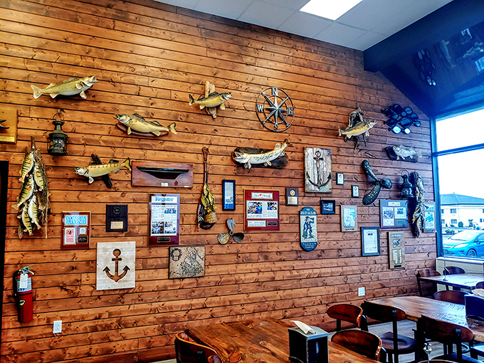 Not just decoration, but a museum of local maritime history &ndash; where mounted fish tell tales of "the one that didn't get away."