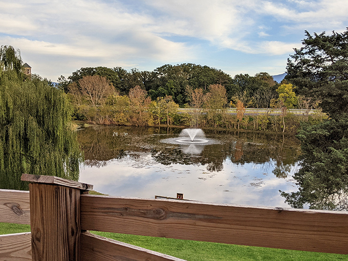 Reflections double the beauty at this serene pond. The perfect spot to contemplate the wonders below while enjoying Virginia's scenic landscape above.