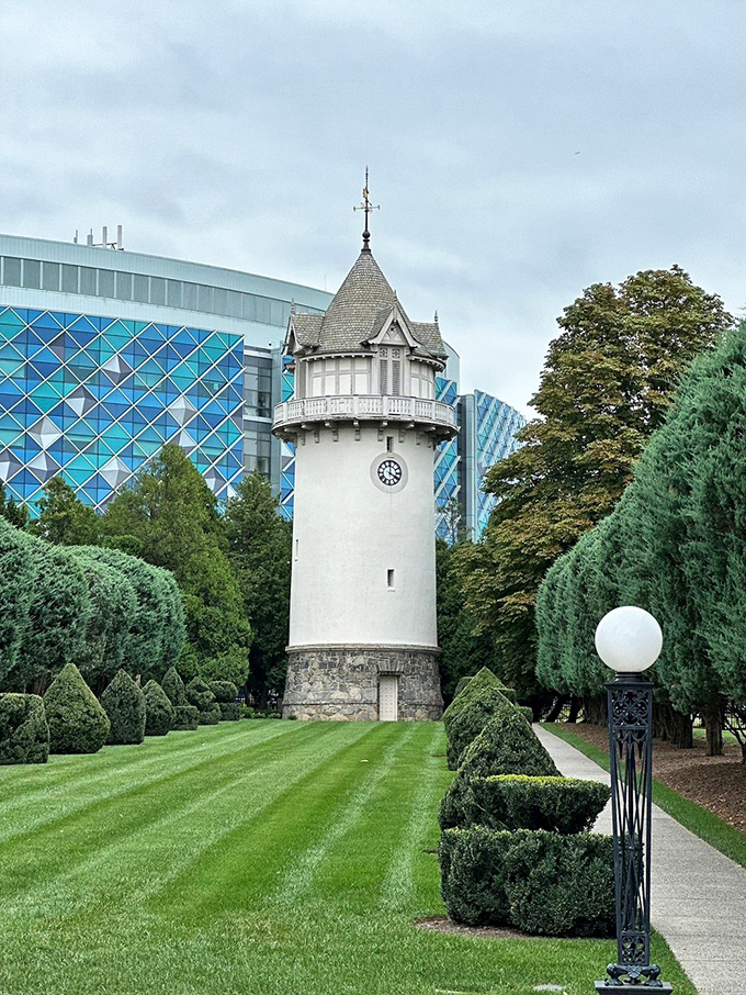 This charming water tower stands like an architectural exclamation point against the modern hospital building&mdash;old money nodding politely at new progress.