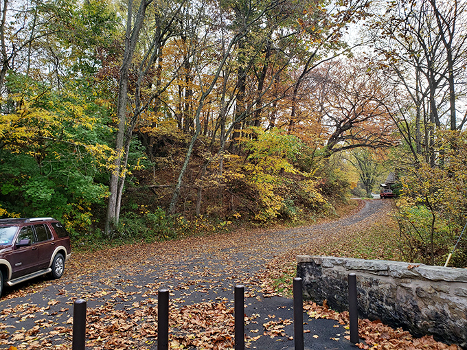 Autumn transforms the approach to the bridge into a carpet of golden leaves&mdash;Mother Nature's red carpet treatment.