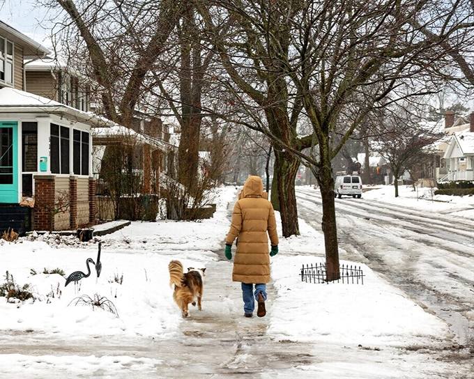 Not Ferndale's winter scene, but this snowy neighborhood walk with a faithful companion captures small-town tranquility in any season.