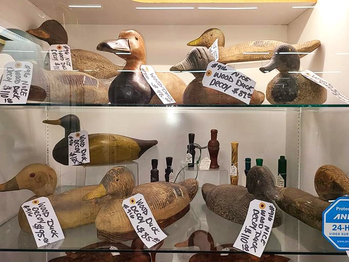 The duck decoy collection floats in suspended animation, these wooden birds having long retired from their working days of luring the real thing.