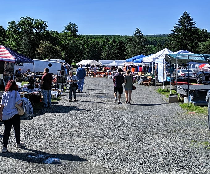 Mountain backdrop frames this gravel-lot paradise where serious treasure hunters find their weekend thrills.