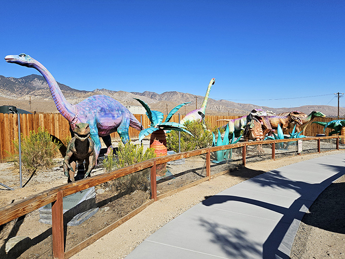 Desert giants that have photobombed more movies than most Hollywood actors ever will.