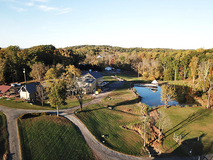 Stunning aerial views at Casanel Vineyards & Winery offer you a serene escape surrounded by lush autumn trees and shimmering water.