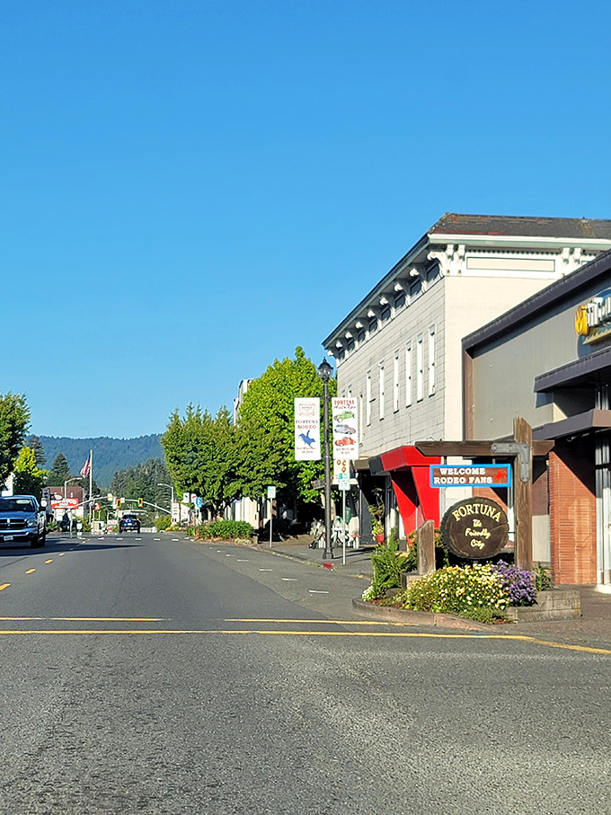 Redwood country's main street welcomes visitors to a town where giants grow affordably.