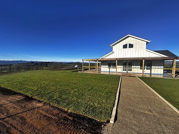 Rustic barn architecture houses serious winemaking where tradition meets innovation in every bottle.