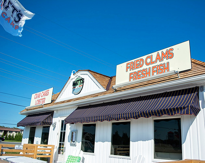 Simple white walls and bold orange lettering create the perfect canvas for seafood artistry.