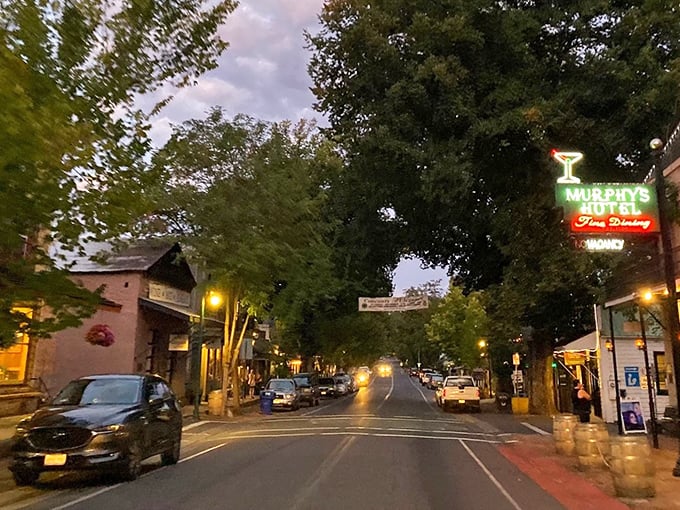 Evening magic transforms small town streets into scenes where vintage neon signs glow like beacons welcoming weary travelers home.