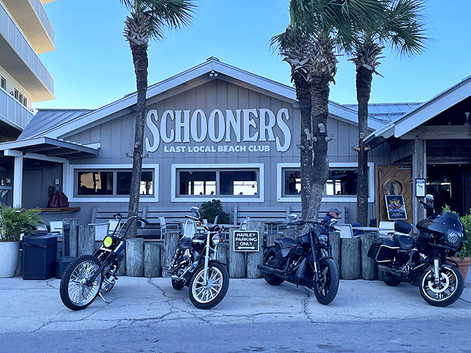 Weathered wood and nautical charm create the perfect Gulf Coast atmosphere for serious seafood indulgence.