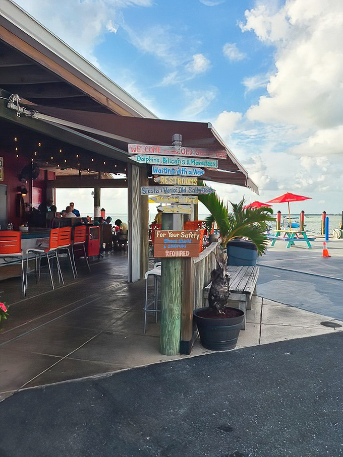 Colorful directional signs point to wildlife viewing, but your nose will guide you straight to The Old Salty Dog's kitchen.