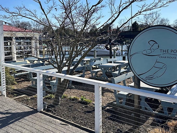 Waterfront dining where the view competes with the crab cakes for your attention.