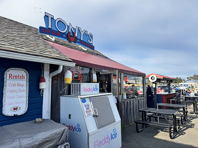 When a shack this cheerful serves crab this good, you know you've struck gold.