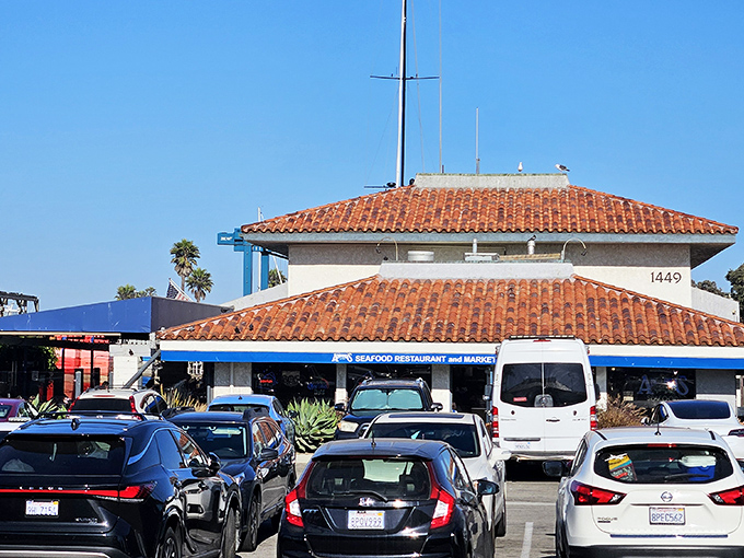 When the parking lot's this full, you know the locals have discovered something special worth sharing with visitors.