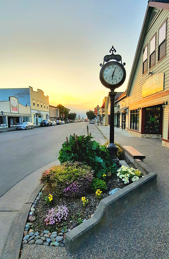Among the world's tallest trees, you'll find some of California's shortest housing costs.