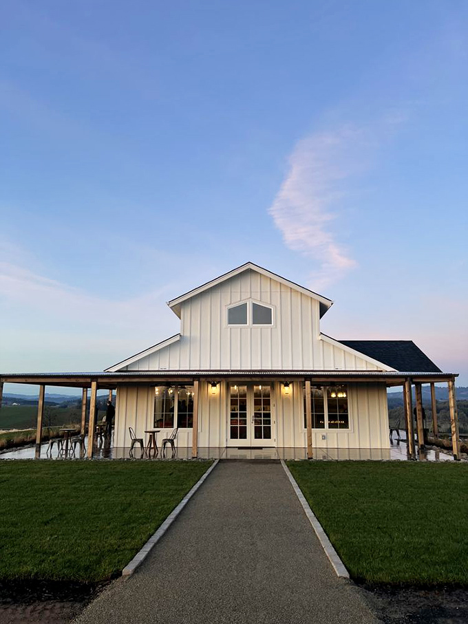 Overcast skies create moody vineyard atmosphere perfect for contemplating life's finer pleasures.