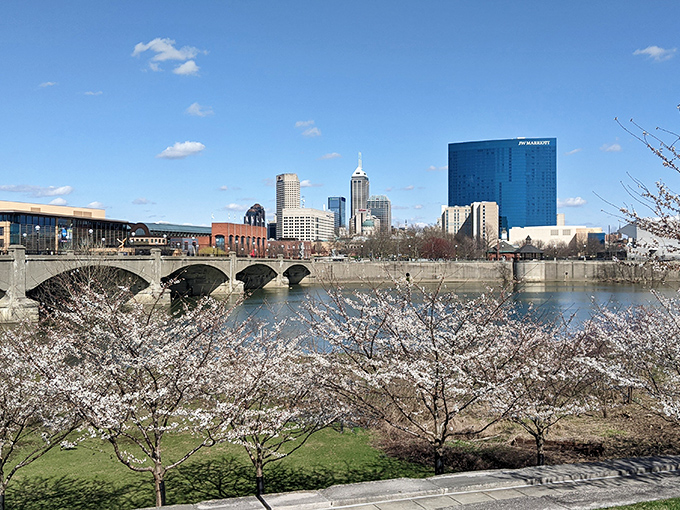 The White River flows past downtown towers, creating urban oasis moments where nature and city life dance together.