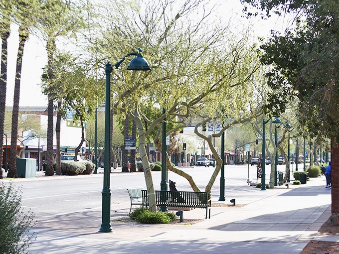 Mesa: Wide streets and wider skies make for peaceful city living. Where traffic jams are just opportunities to admire the palm trees.