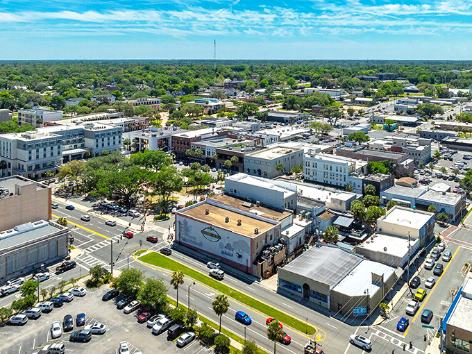 Rolling pastures create a landscape that proves Florida has more personality than just beaches.