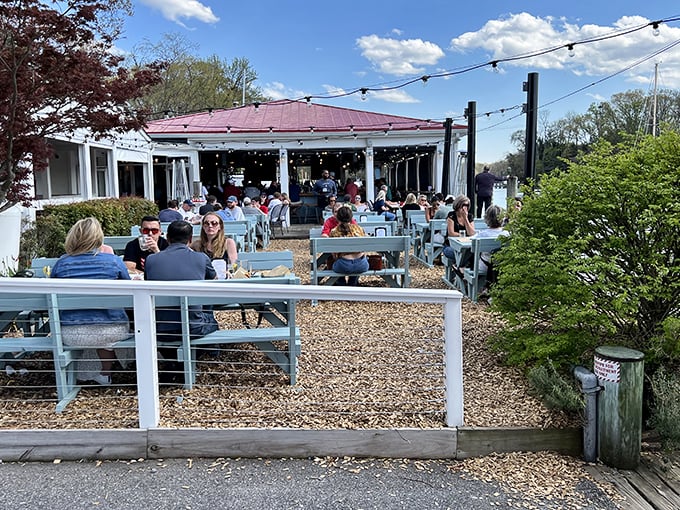 Modern marina dining with old-school seafood values - Arnold's answer to perfect waterfront crab feasting.
