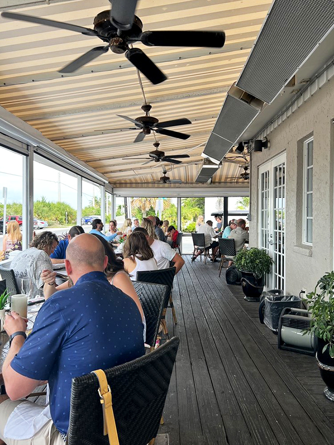 Nature's dinner theater - where mangroves provide the set and dolphins make surprise guest appearances. 