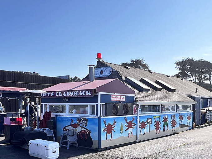 Colorful murals and crab-happy vibes make every meal feel like a seaside celebration party.